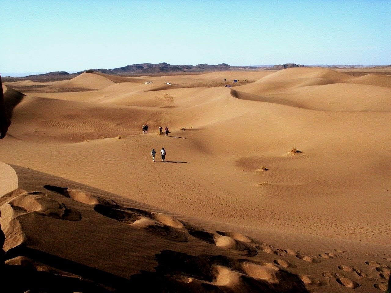 Trek à chameau dans le désert marocain : Oued Drâa, la rivière sans fin