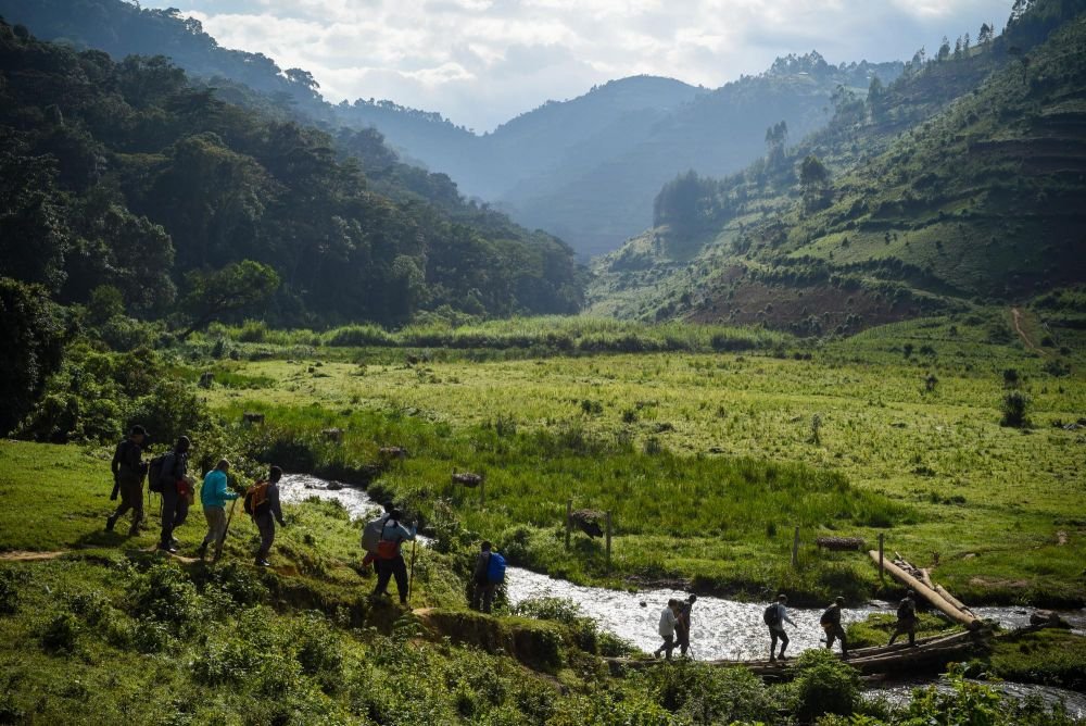 Voyage Ouganda : safari et voyage naturaliste en Ouganda